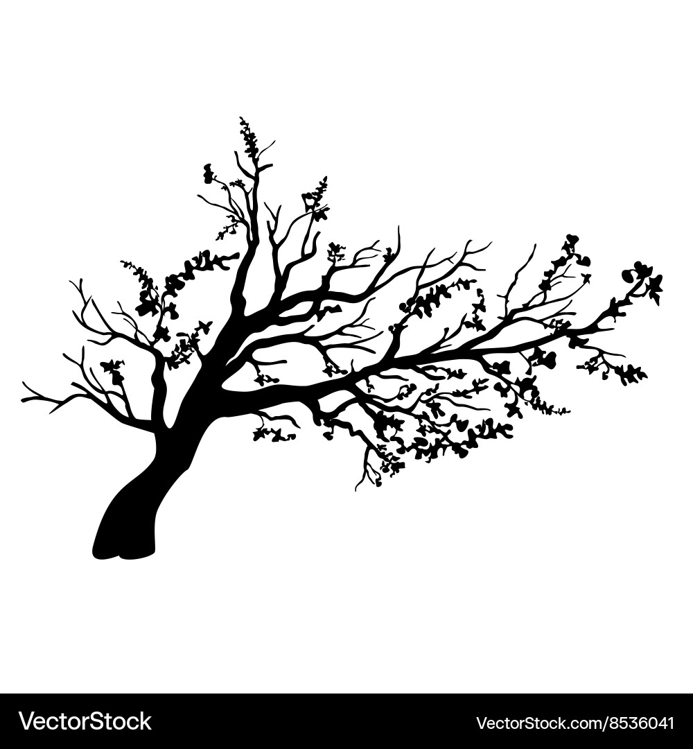 Windy Tree Silhouette Royalty Free Vector Image