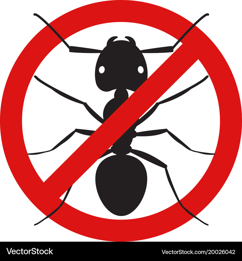Anti no ant insect symbol Royalty Free Vector Image