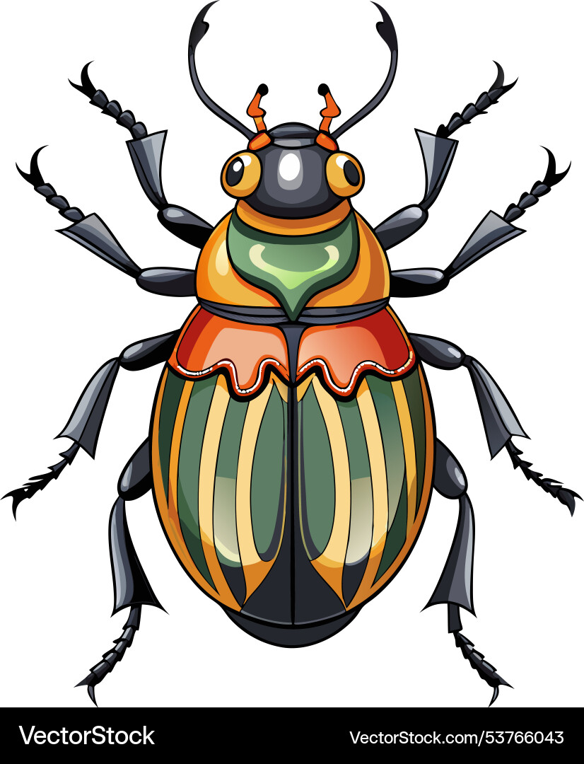 Color beetle editable on white background Vector Image