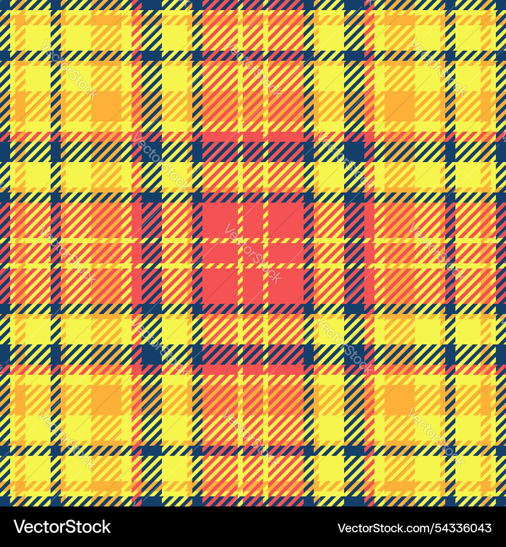 Youth seamless pattern plaid layout texture Vector Image