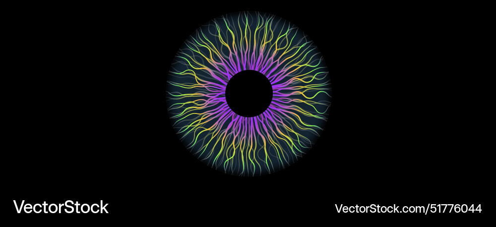 Human iris poster Royalty Free Vector Image - VectorStock