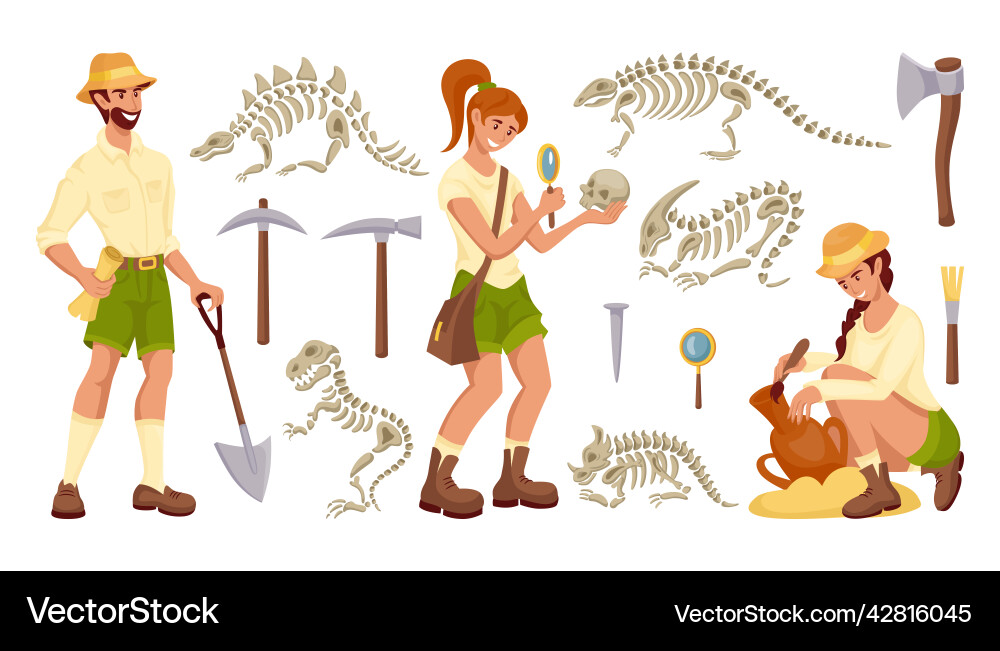 Archeology tools palaeontologist instrument Vector Image