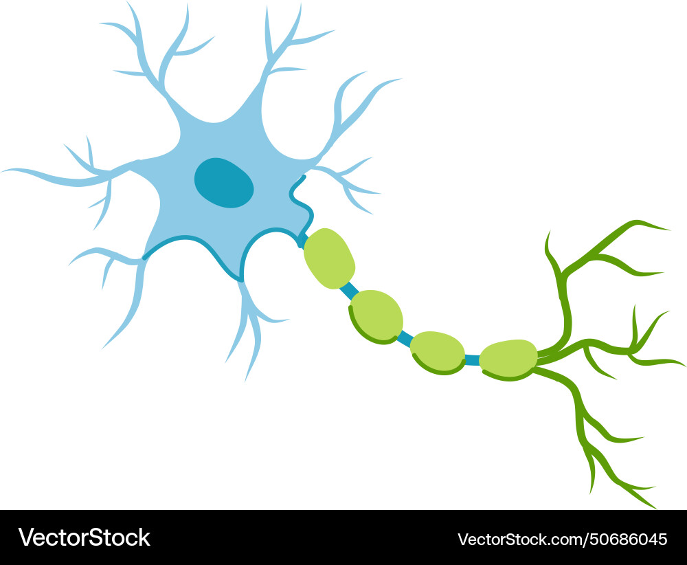 Brain neurons cartoon Royalty Free Vector Image