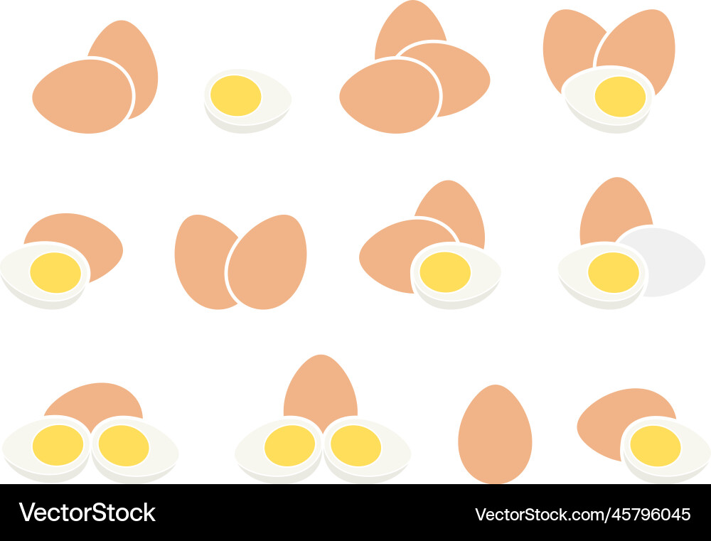 Chicken eggs Royalty Free Vector Image - VectorStock