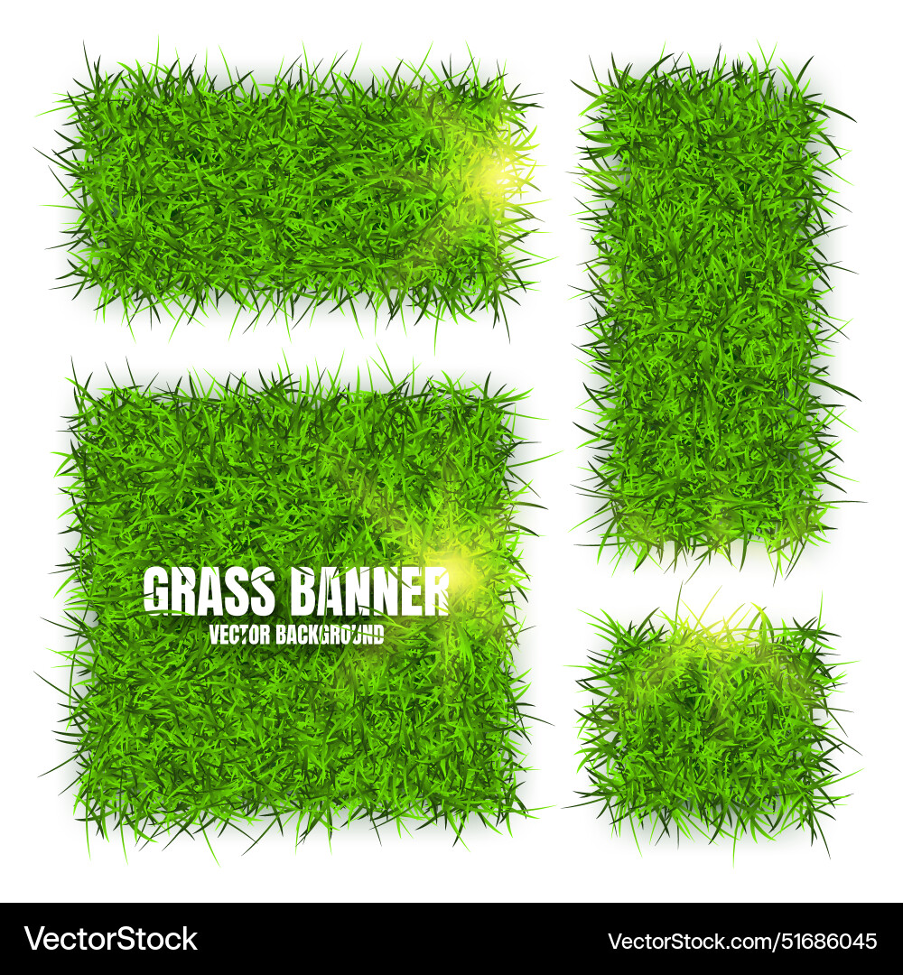 Green grass banners background field meadow Vector Image