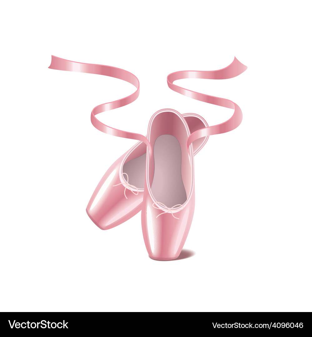 Ballet shoes isolated Royalty Free Vector Image