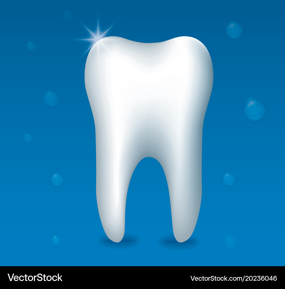 Healthy tooth Royalty Free Vector Image - VectorStock