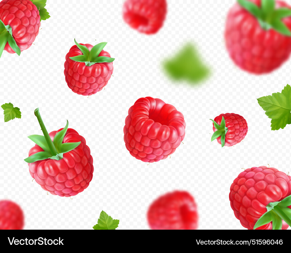 Raspberry background realistic Royalty Free Vector Image