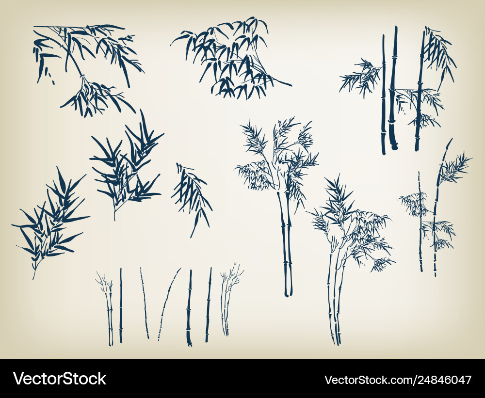 Bambus Design Elemente Hand gezogen orientalisch Vektorbild