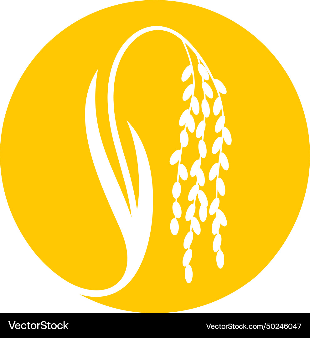 Rice Royalty Free Vector Image - VectorStock