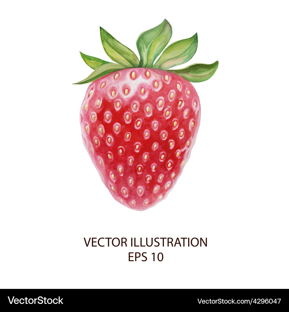 Strawberry Royalty Free Vector Image - VectorStock