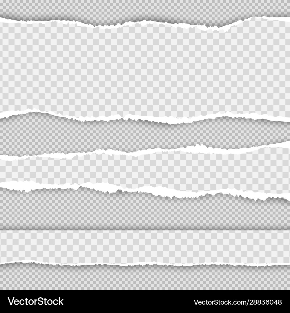 Horizontal torn paper edge realistic Royalty Free Vector