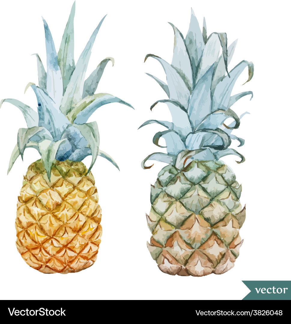 Tropical Pineapple Watercolor Pattern Royalty Free Vector
