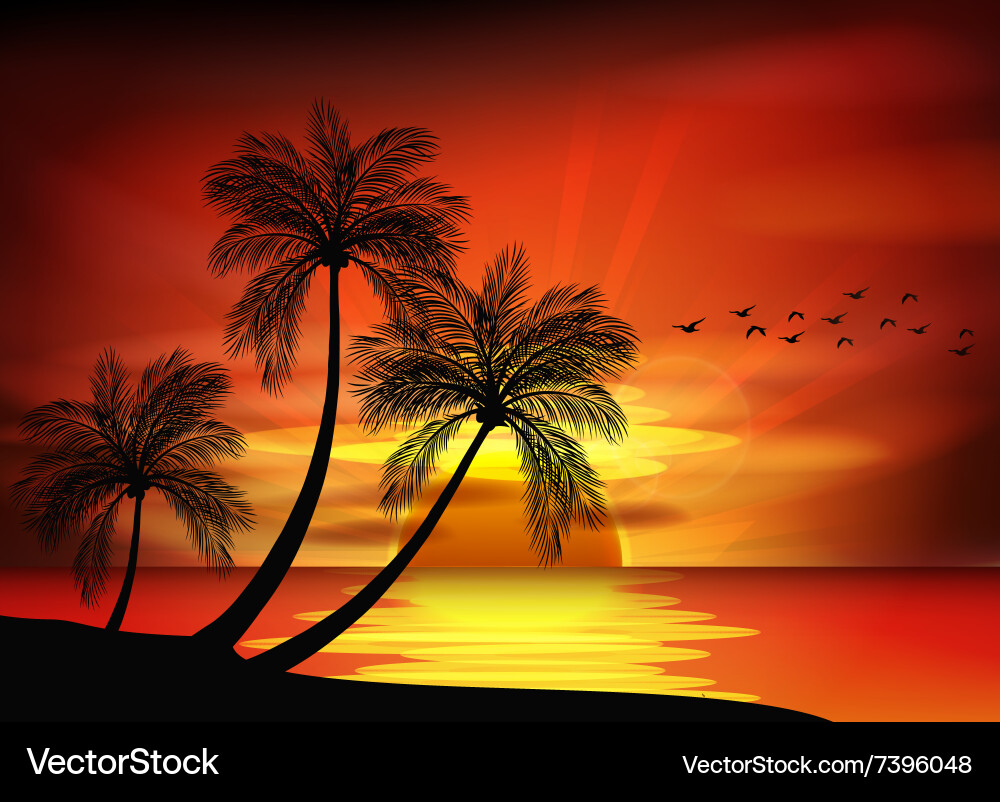 Tropical Sunset Beach Scene Royalty Free Vector Image