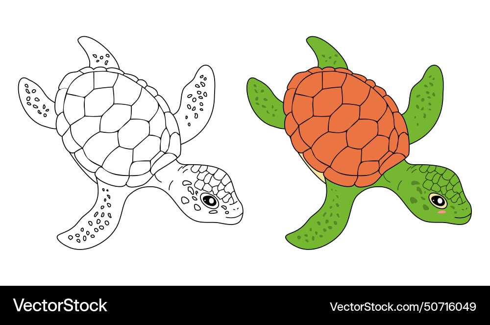 Coloring page with cartoon turtle Royalty Free Vector Image