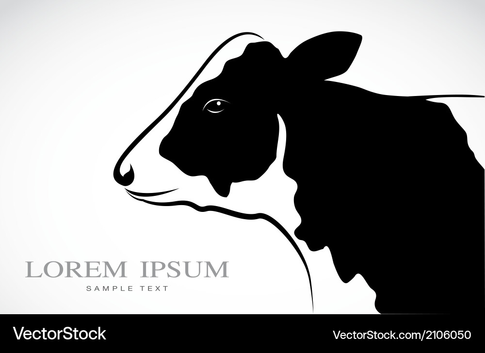Cow Royalty Free Vector Image - VectorStock