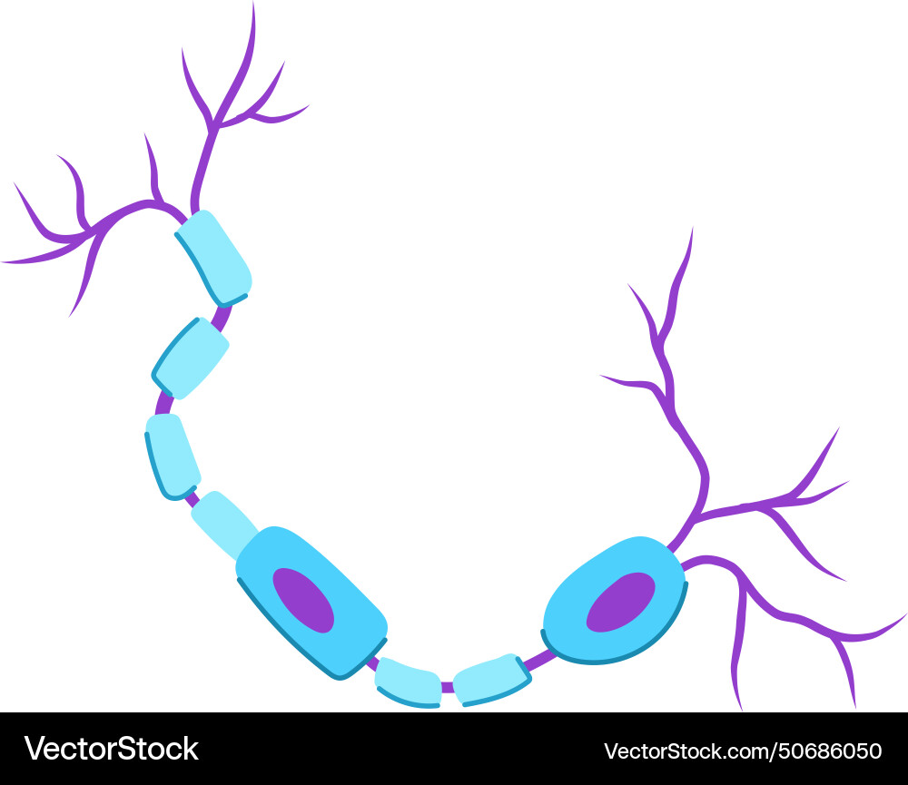 Neuro neurons cartoon Royalty Free Vector Image