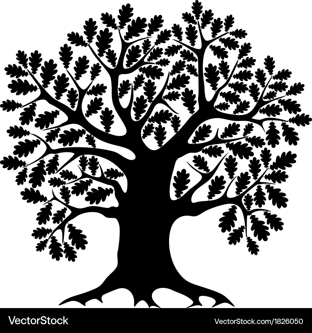 Oak Royalty Free Vector Image - VectorStock