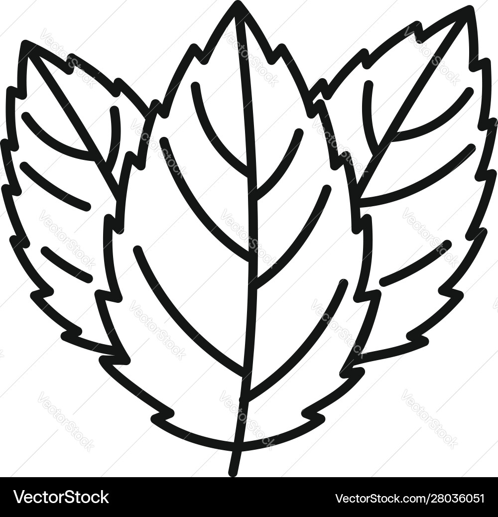 Mint Outline Icon Royalty Free Vector Image - VectorStock