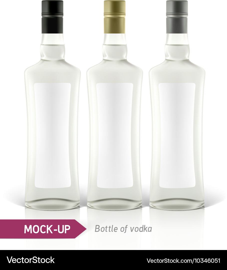 Vodka Bottle Mockup Royalty Free Vector Image - VectorStock
