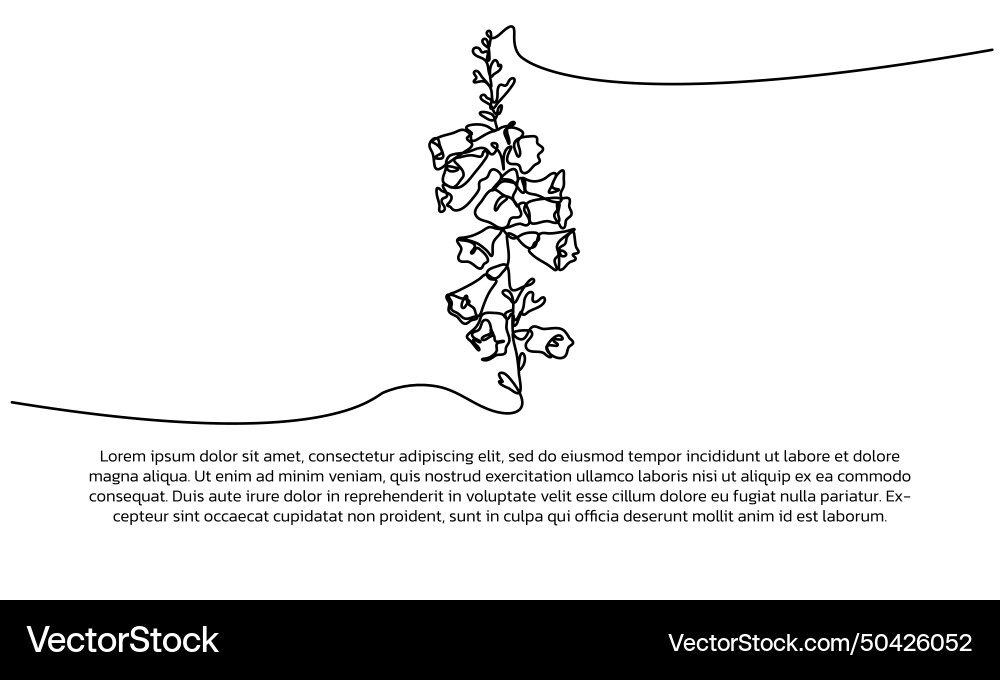 One line botanical flower poster drawing Vector Image