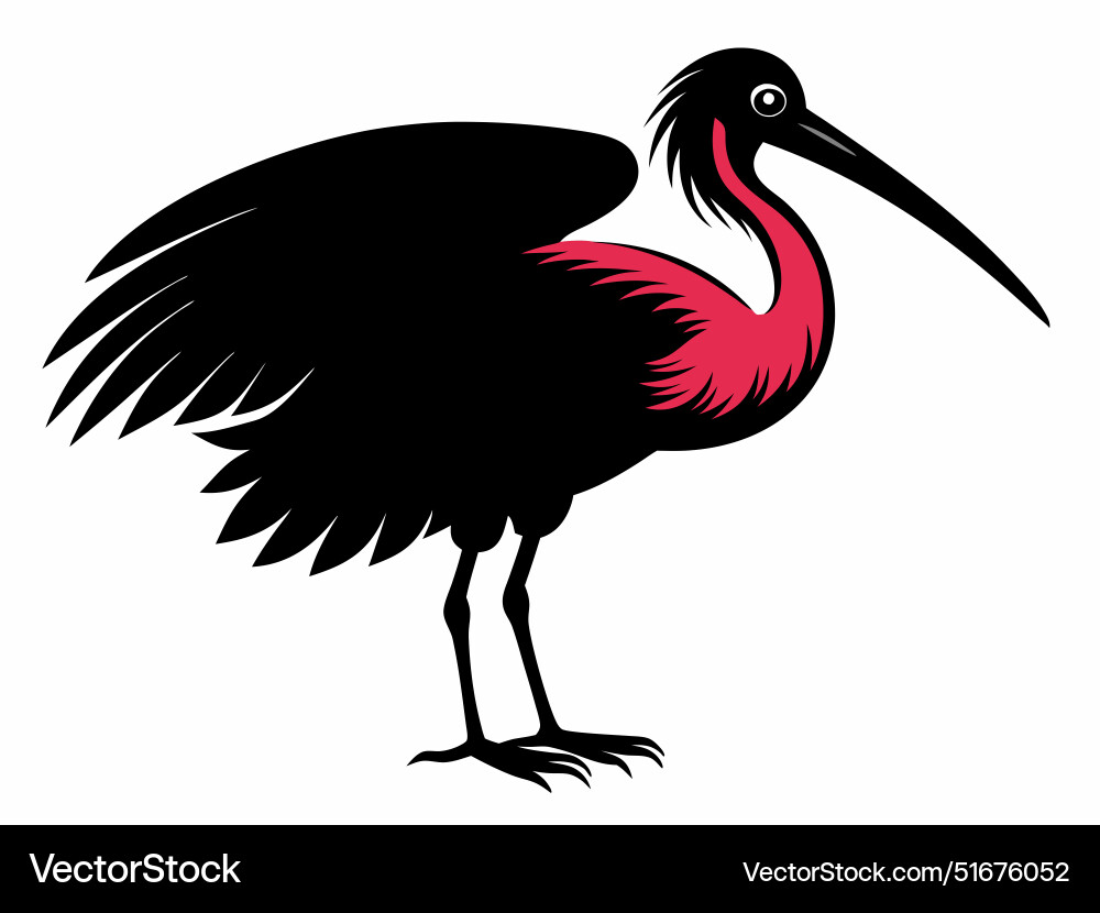 Roseate spoonbill silhouette black white Vector Image
