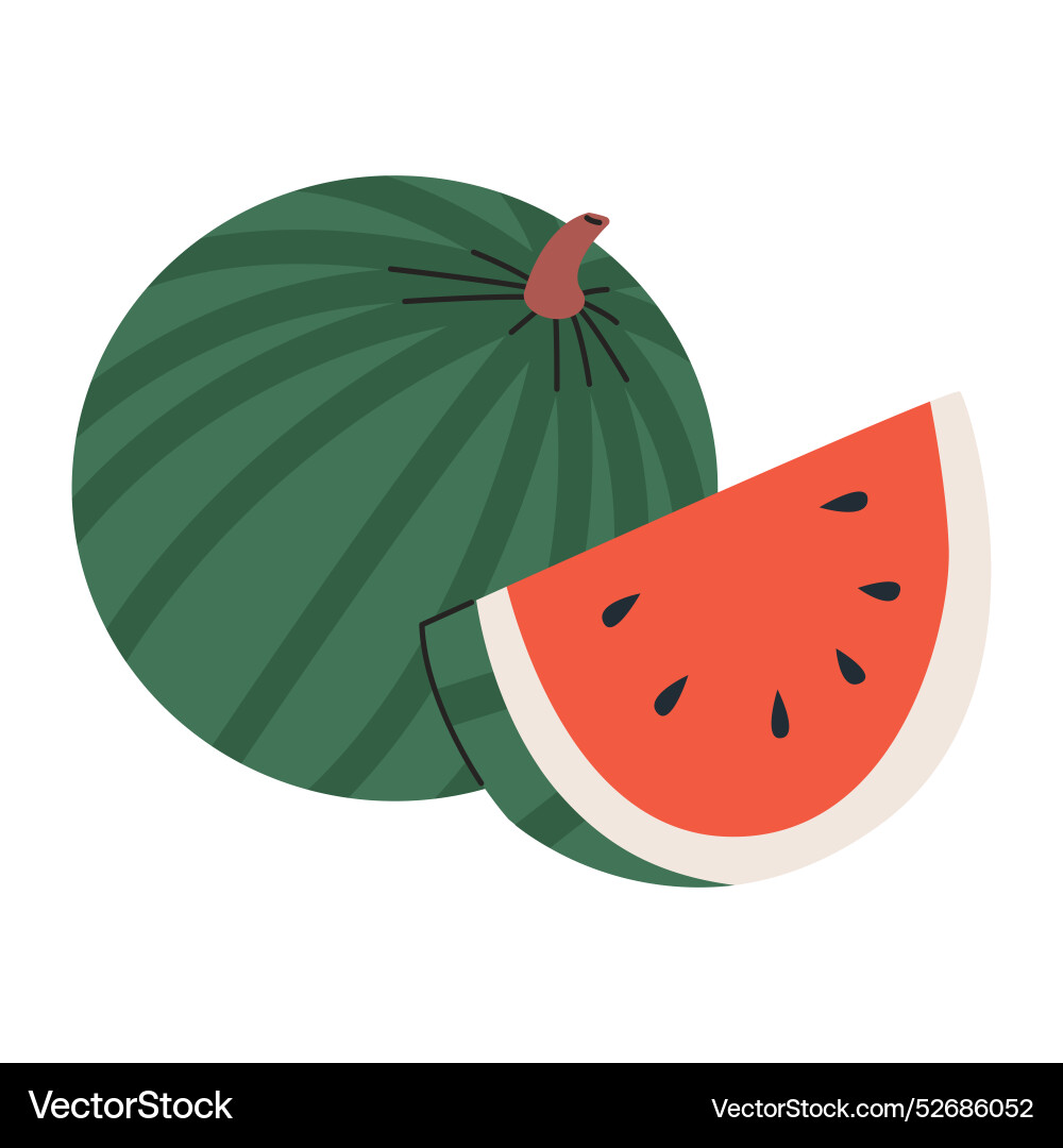 Watermelon whole and sliced Royalty Free Vector Image