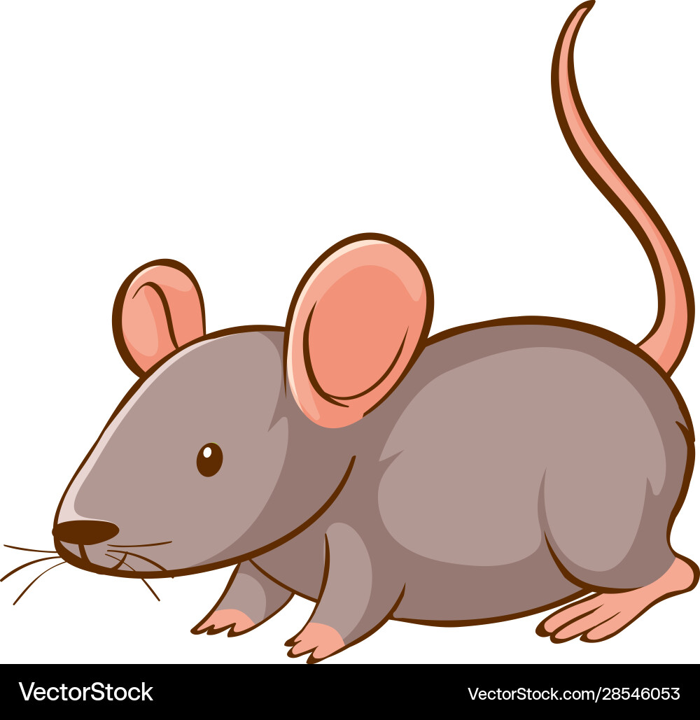 Cute Gray Mouse Illustration Royalty Free Vector Image