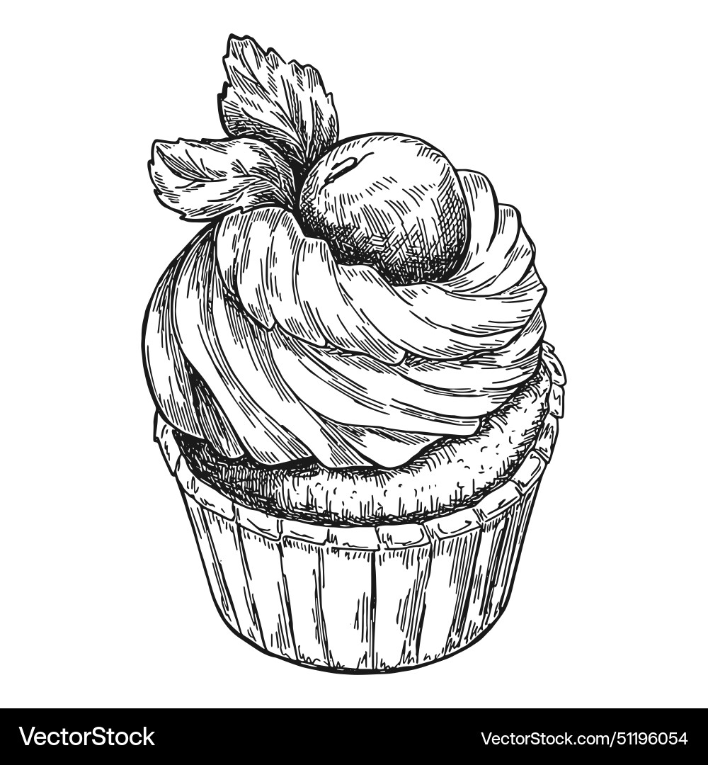 Hand drawn cupcake pen and ink sketch isolated Vector Image