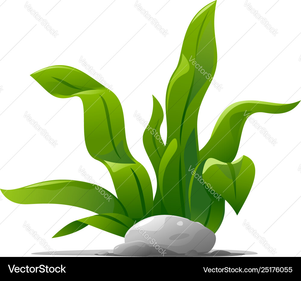 Decorative plant with long wavy leaves Royalty Free Vector