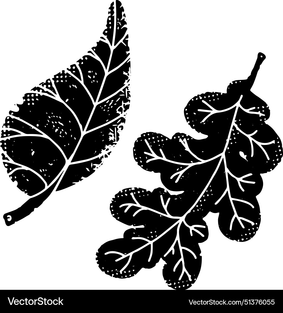 Leaves from trees graphic arts element set Vector Image