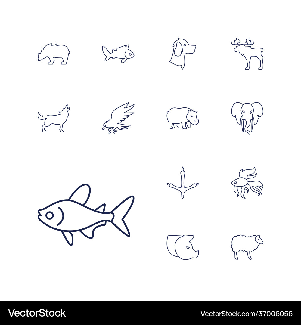 13 wildlife icons Royalty Free Vector Image - VectorStock