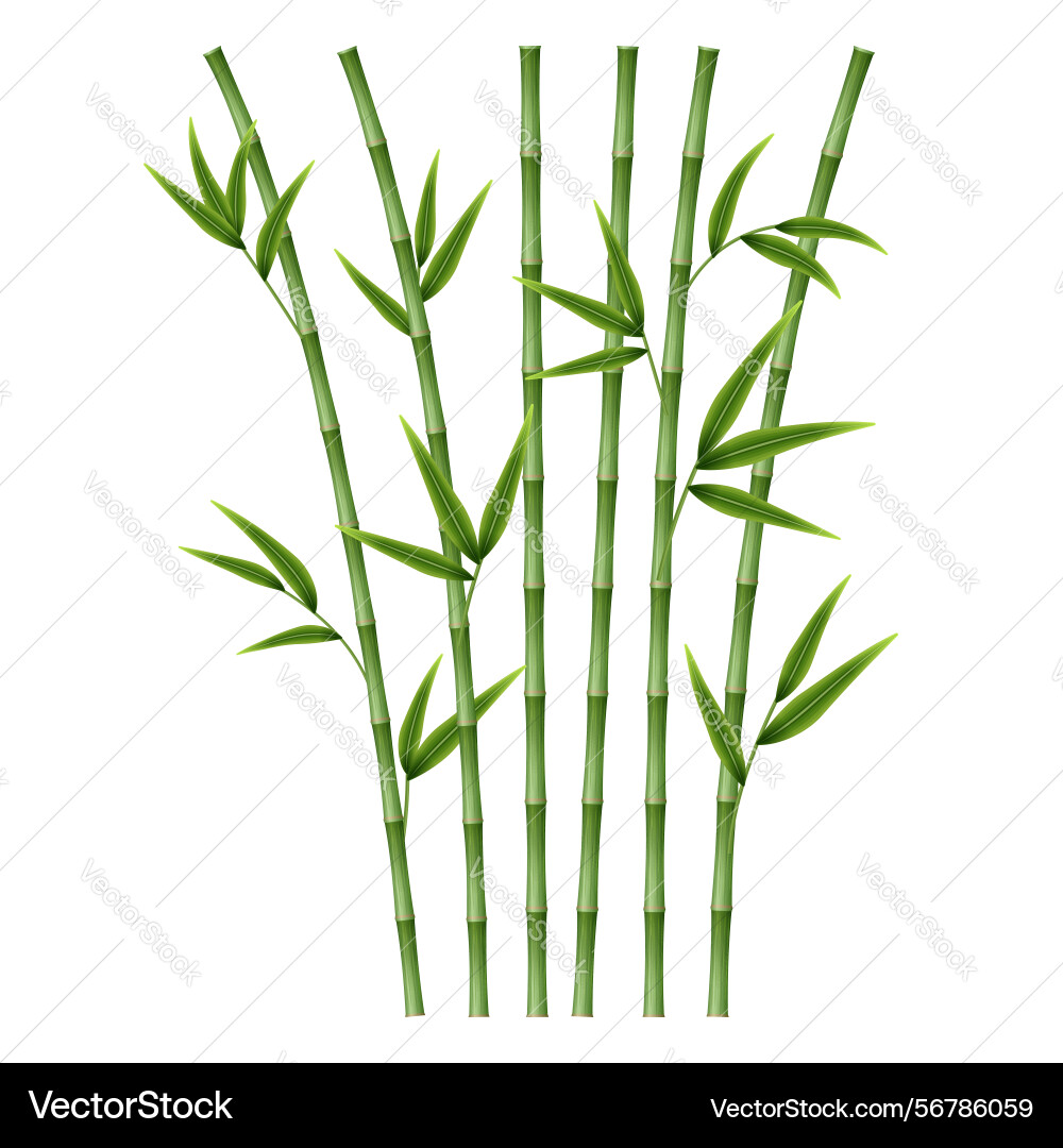 Wood Twigs Wooden Sticks Vector Images (over 270)