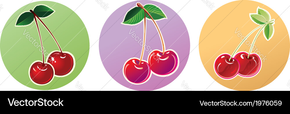 Cherry Royalty Free Vector Image - VectorStock