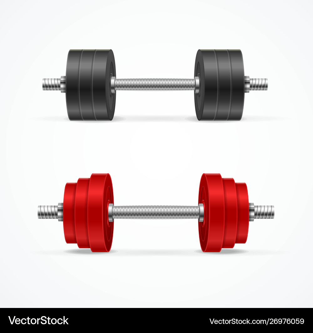 Realistic detailed 3d different dumbbell set Vector Image