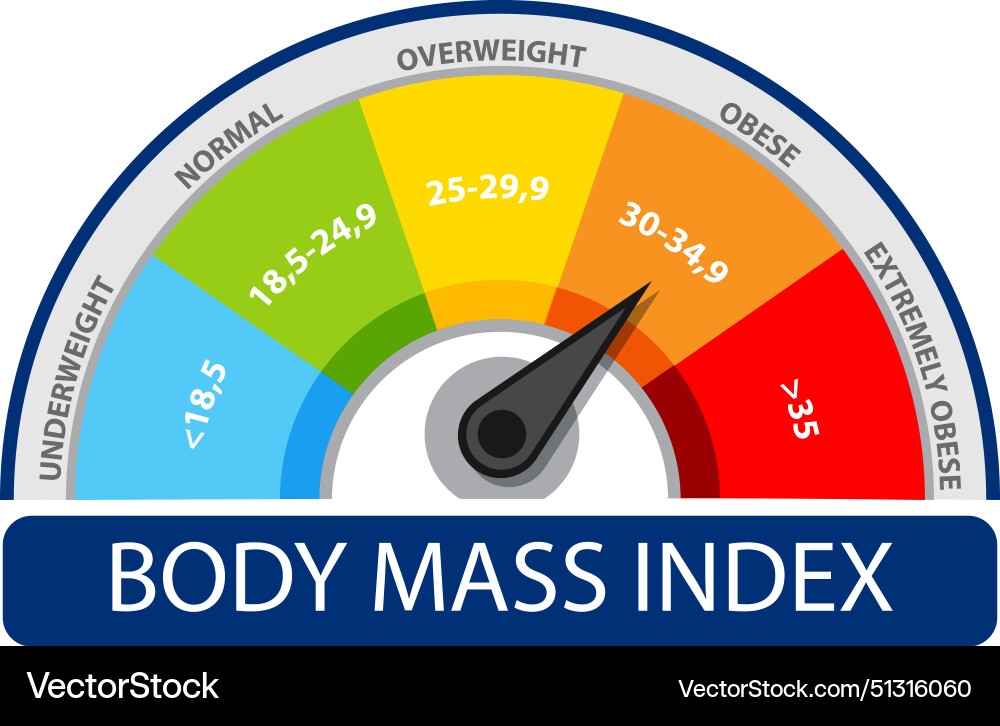 Bmi categories from underweight to extremely obese