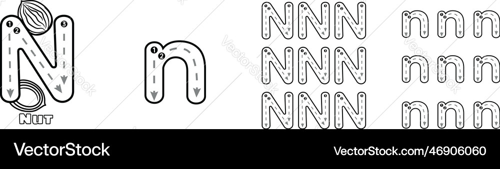 Letter n trace uppercase and lowercase abc Vector Image