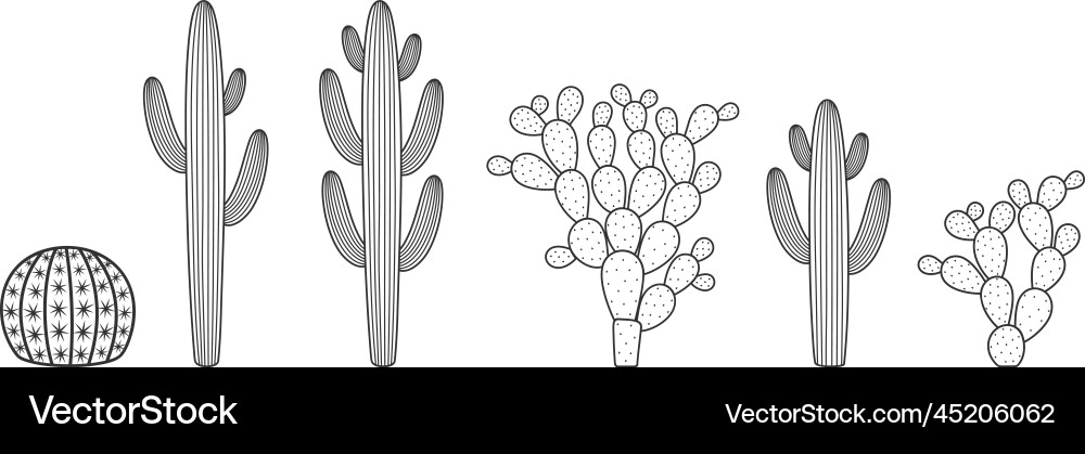 Cactus Royalty Free Vector Image - VectorStock