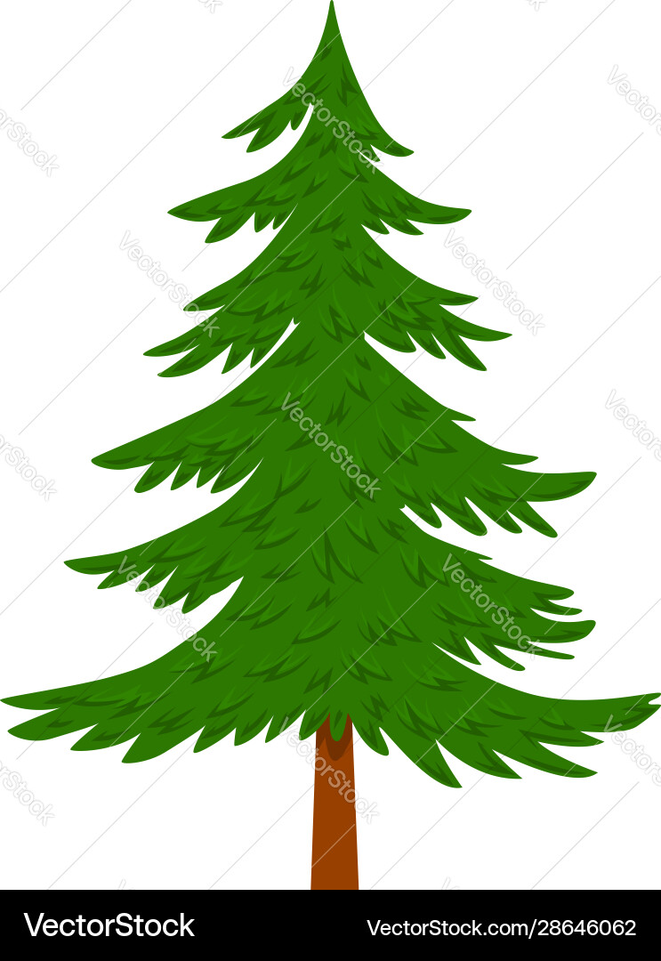 Pine tree in cartoon style isolated on white Vector Image