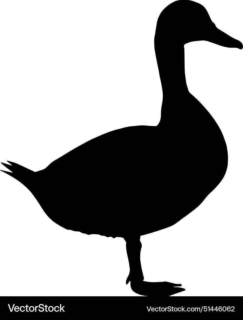 Silhouette of a duck Royalty Free Vector Image