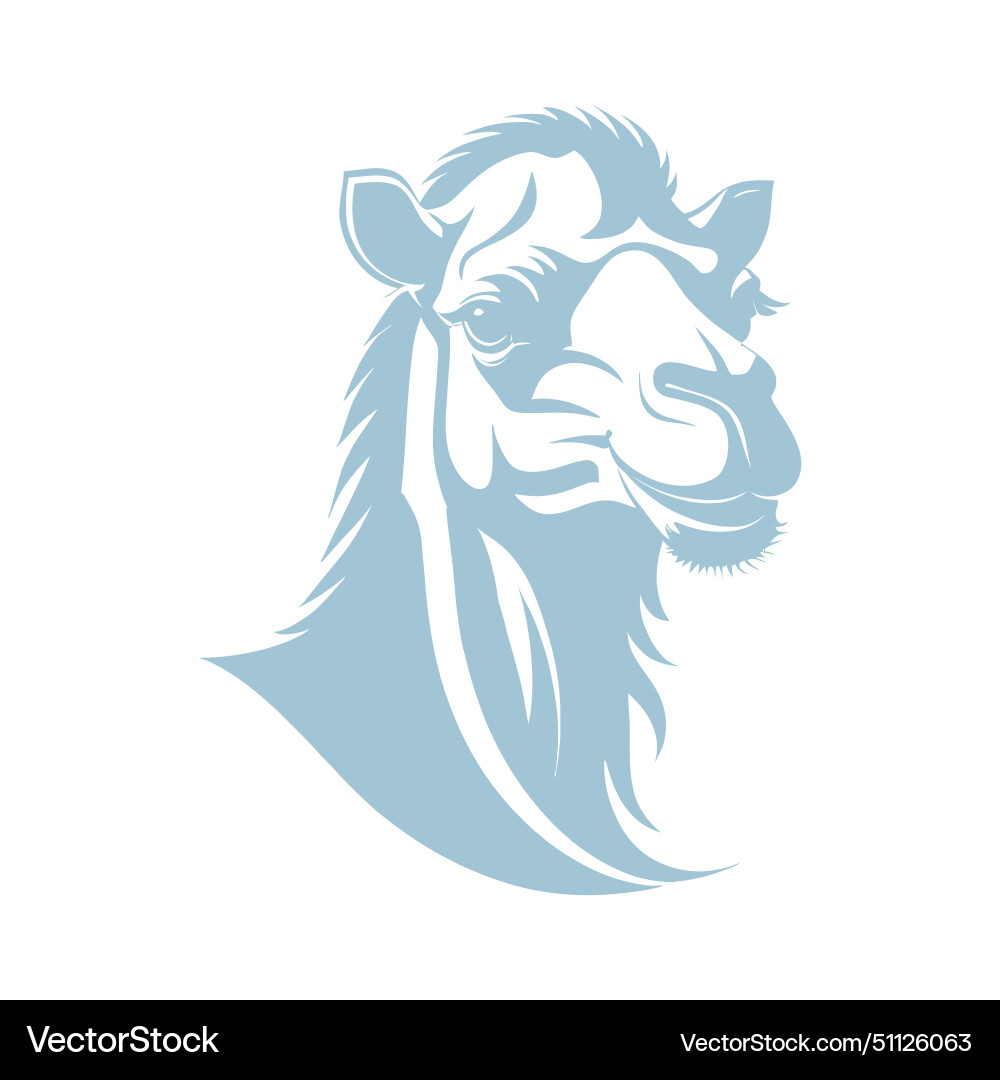 Image of a camel head on white background Vector Image
