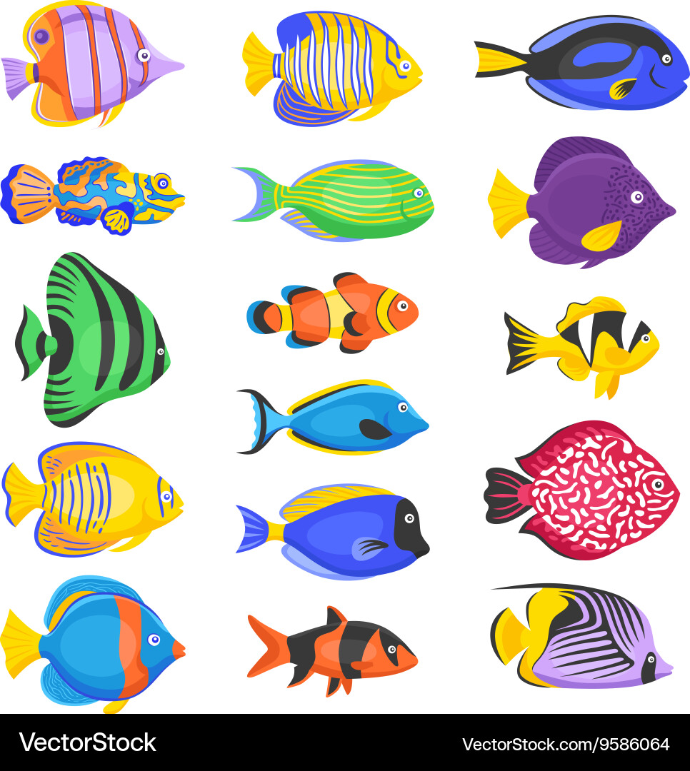 Exotic fish set Royalty Free Vector Image - VectorStock