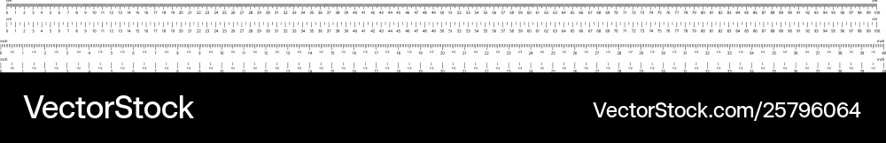 Ruler scale measurable scales 100 centimeters Vector Image