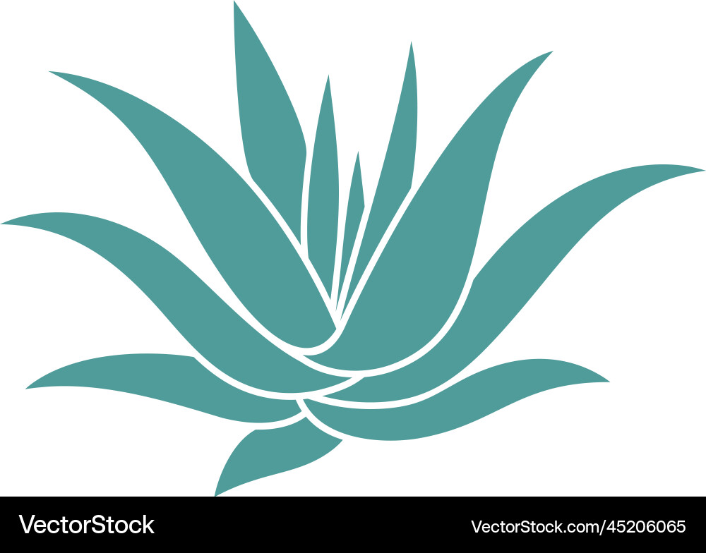 Agave Royalty Free Vector Image - VectorStock