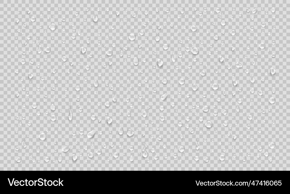 Set of isolated water drops Royalty Free Vector Image