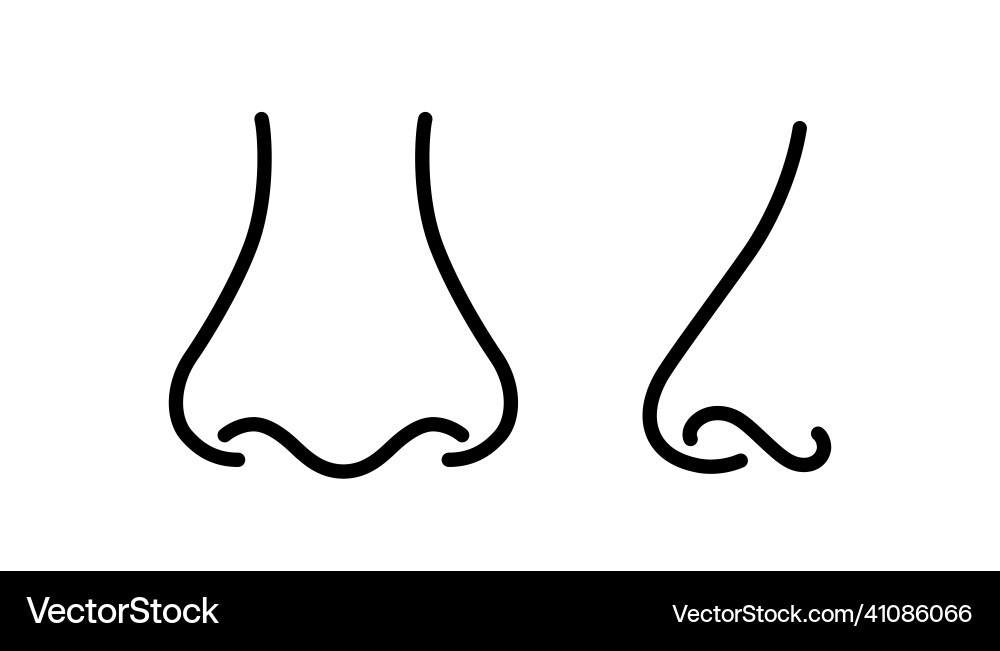 Nose icon front view and profile human Royalty Free Vector