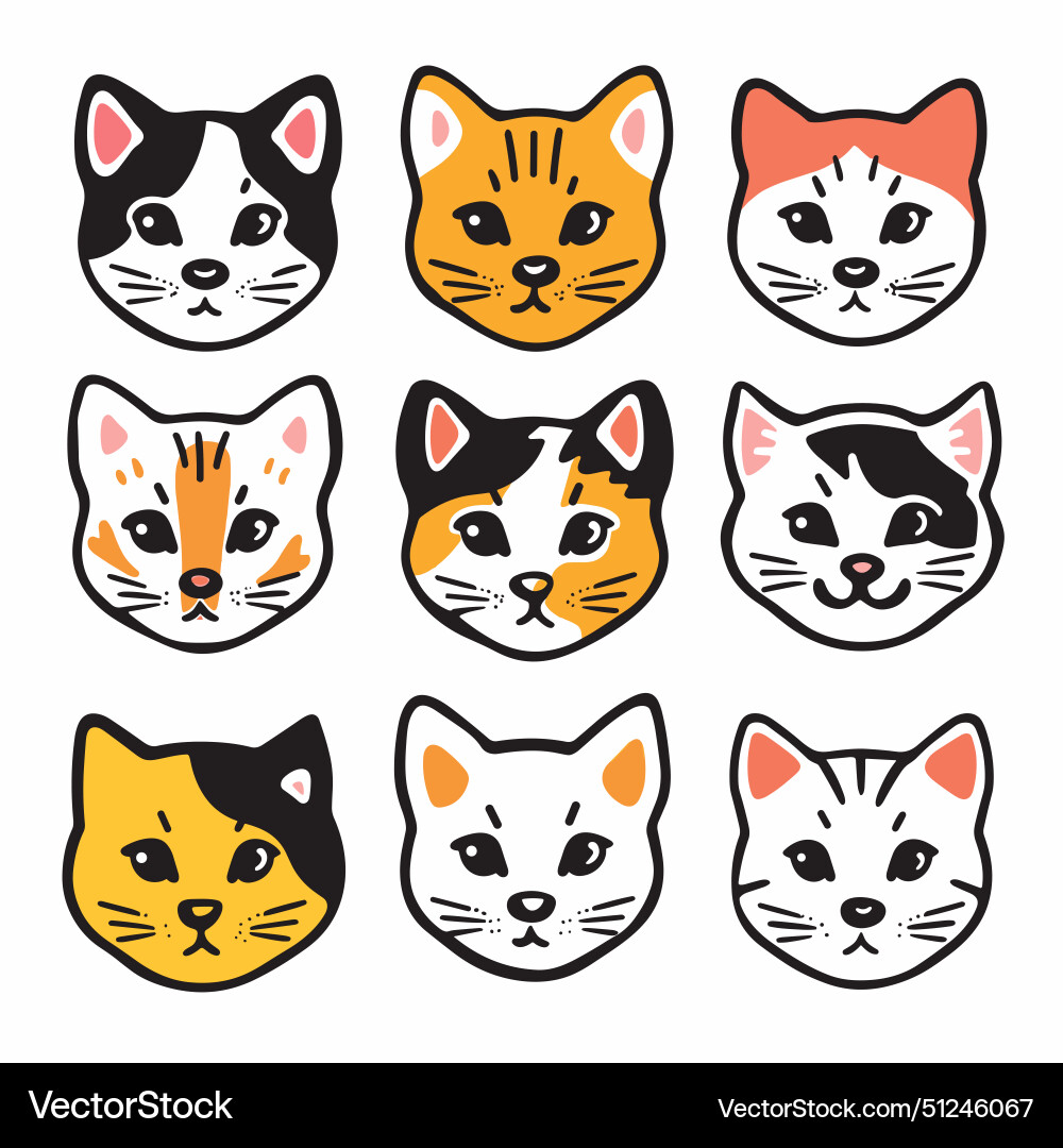 Set nine cute cat faces various fur patterns Vector Image