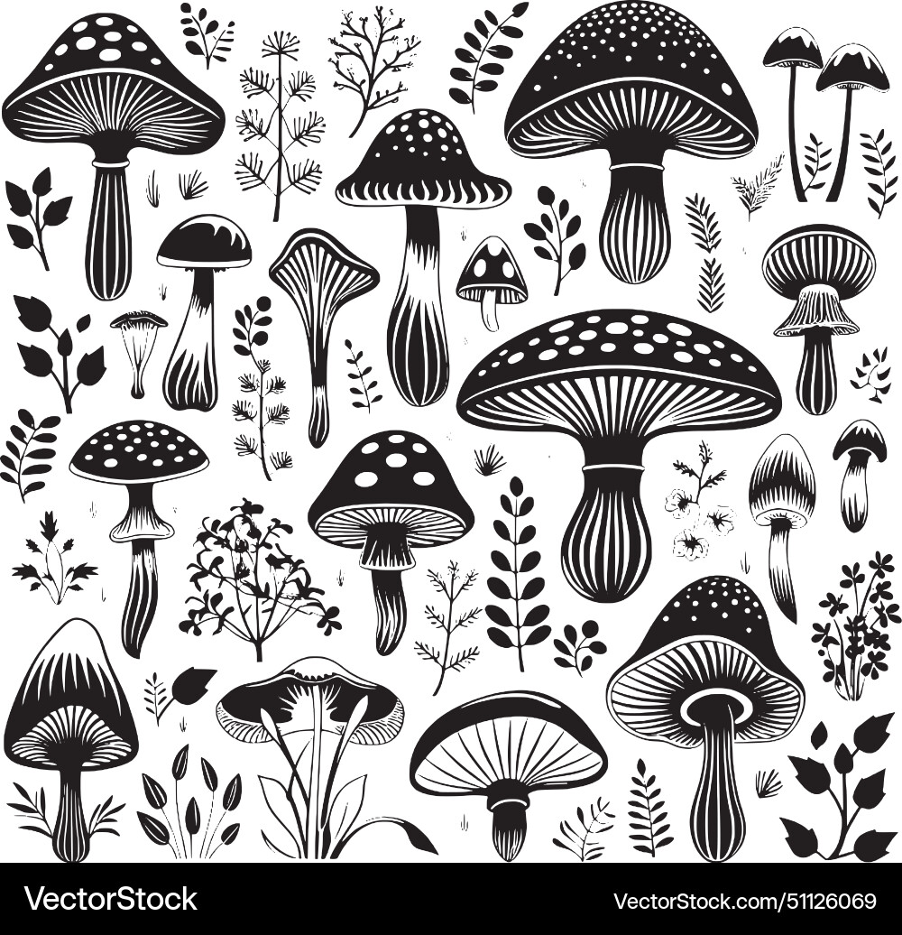 Mushroom Royalty Free Vector Image - VectorStock