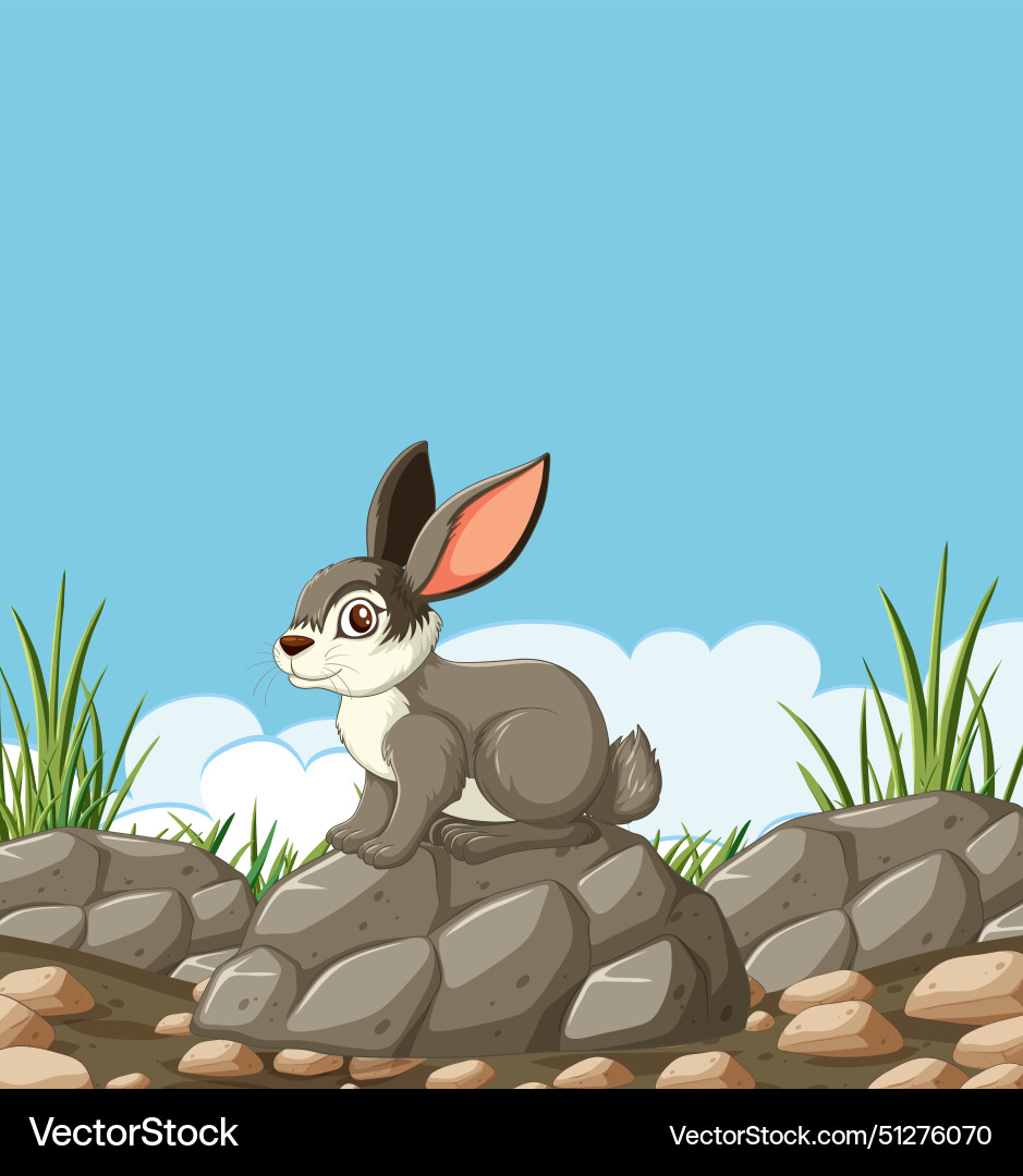 A rabbit on stones Royalty Free Vector Image - VectorStock