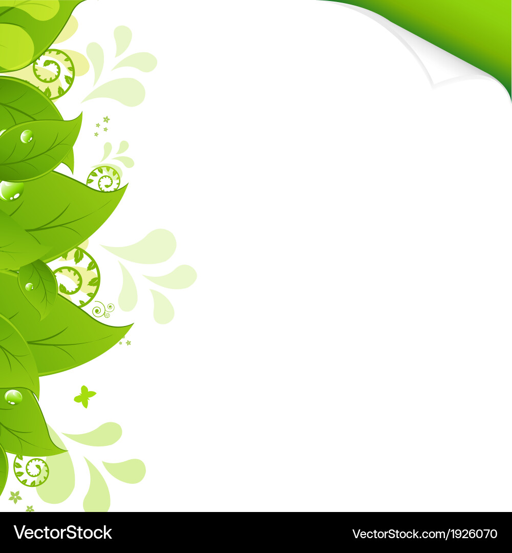 Eco background with green leaves Royalty Free Vector Image